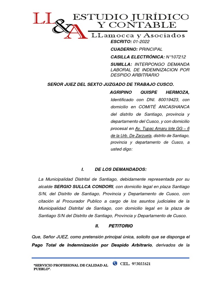 Demanda Final SR Agripino3466634 | PDF