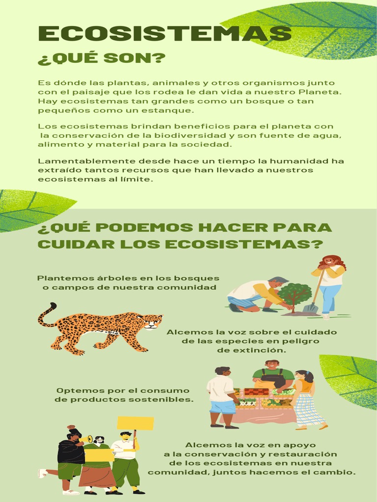 Infografía Sobre El Cuidado de Los Ecosistemas | PDF