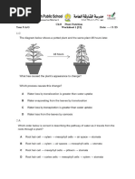 Dichotomous Key Practice Worksheets | PDF | Foreign Language Studies