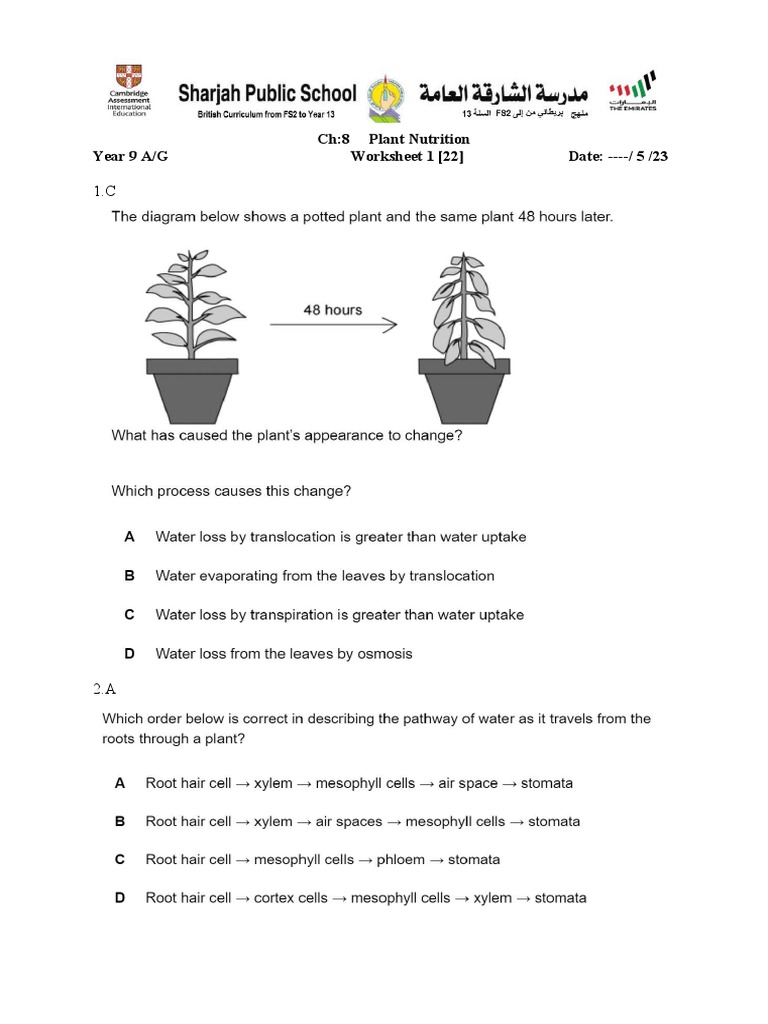 CH 8 Transport in Plants Worksheet 1 Answer | PDF | Stoma | Leaf