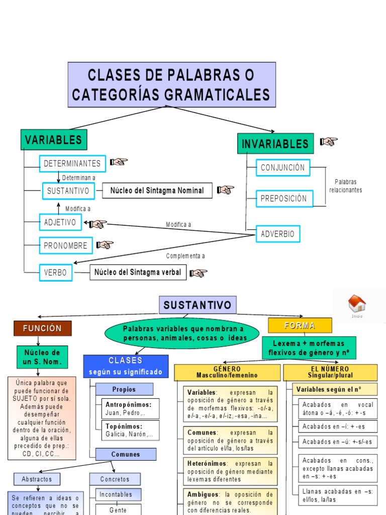 Clases de Palabras | PDF | Adjetivo | Verbo