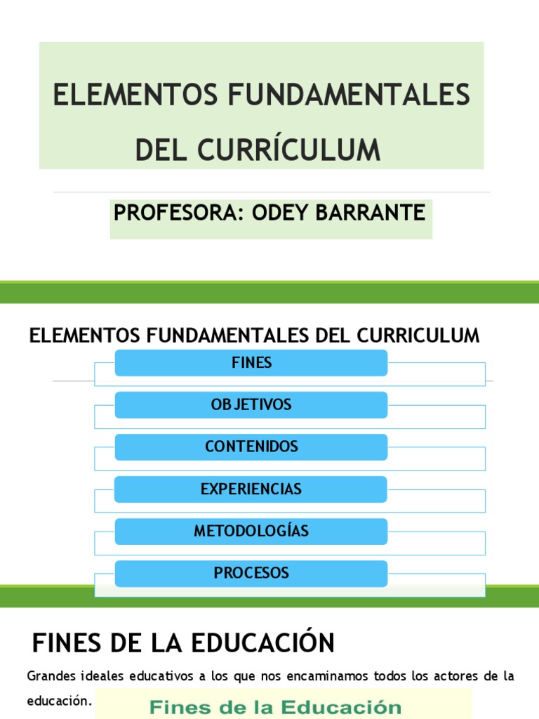 Elementos Fundamentales Del Currículum | PDF