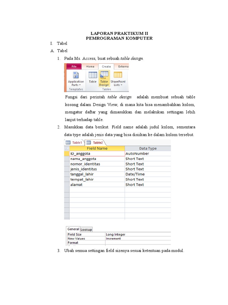 Laporan Praktikum Ii Pemrograman Komputer | PDF