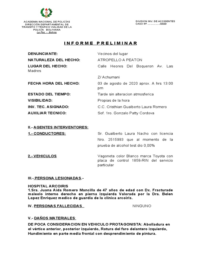 Informe Preliminar | PDF | Gobierno | Vehículos