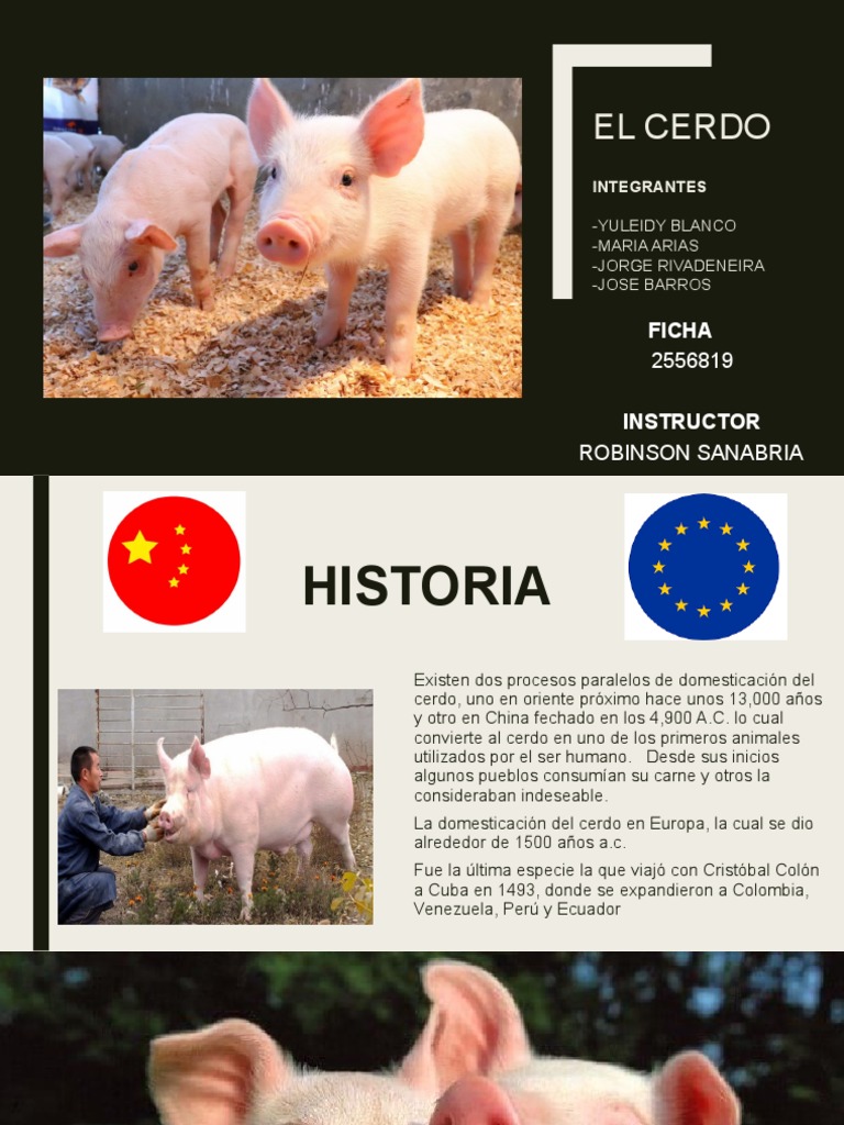 El Cerdo Diapositiva Lunes 1 | PDF