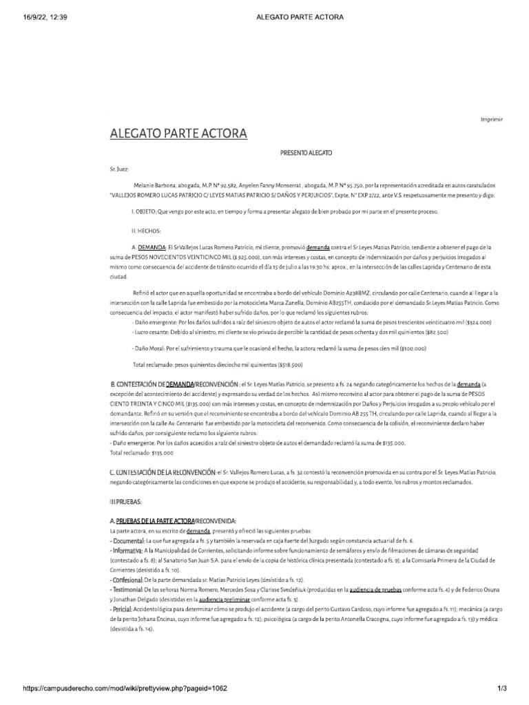 Alegato Parte Actora - Expte 2 | PDF