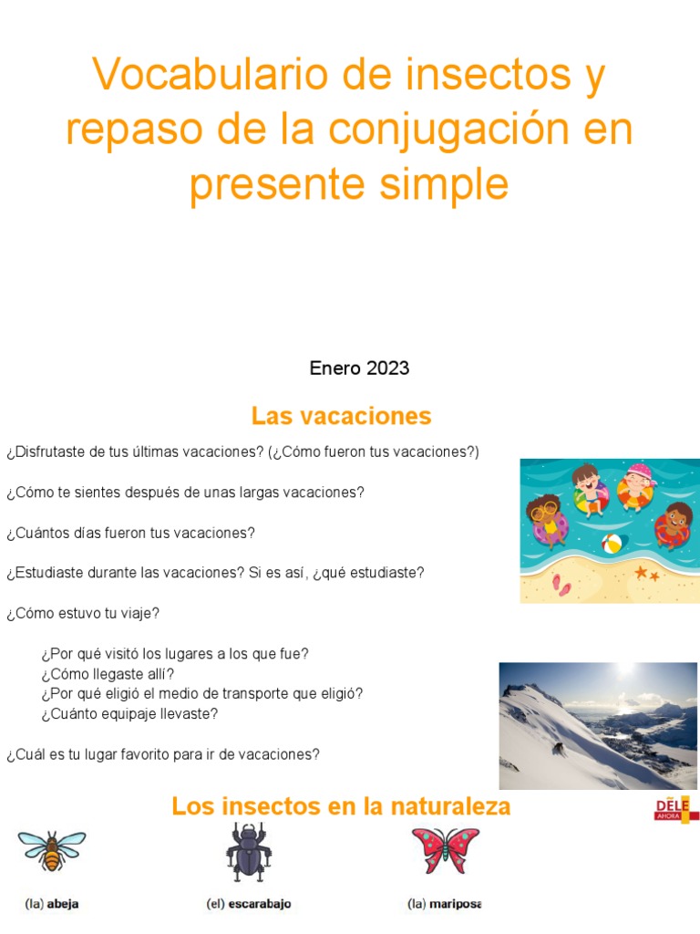 Vocabulario de Insectos | PDF