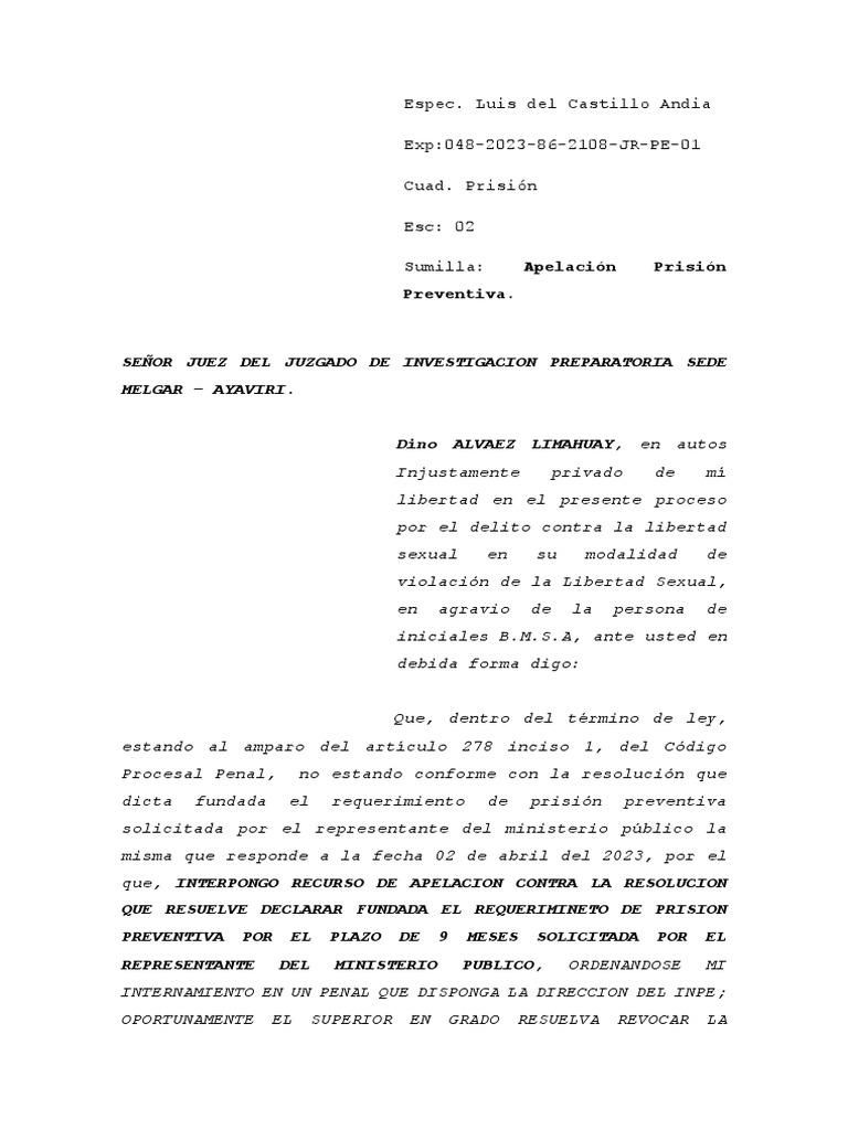 APELACION PRISION PREVENTIVA | PDF | Apelación | Ley procesal