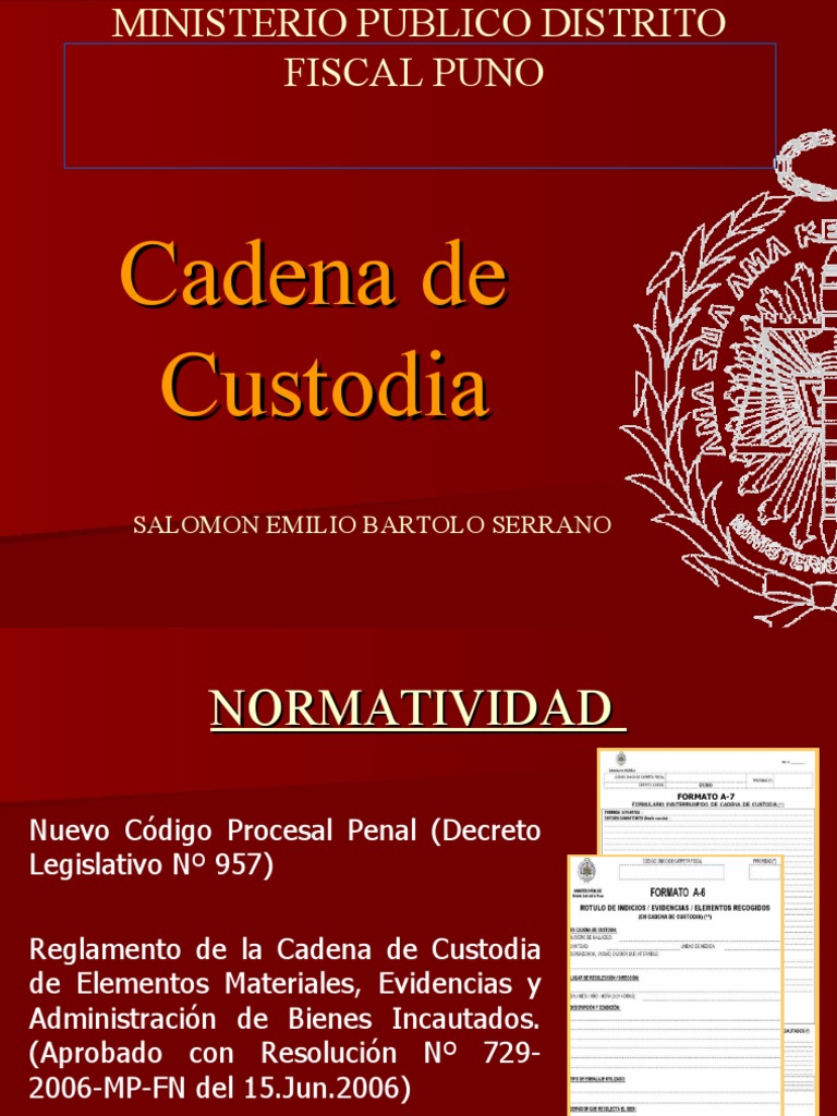 Cadena de Custodia | PDF | Ley Pública | Procedimiento legal
