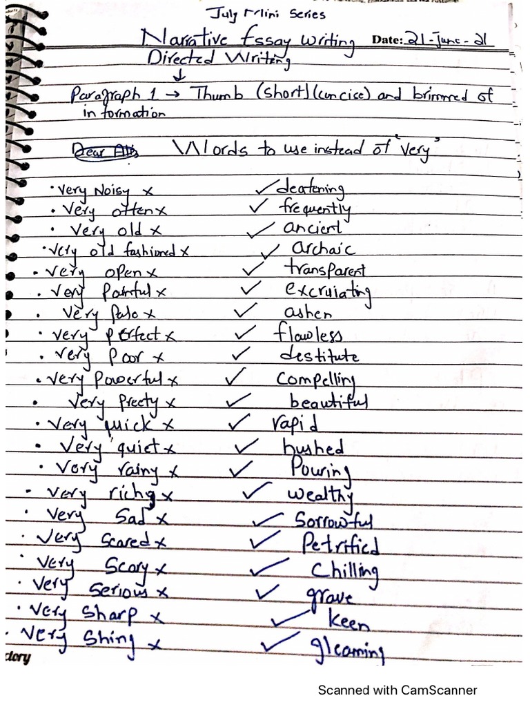 English Guide by Areez Faisal | PDF