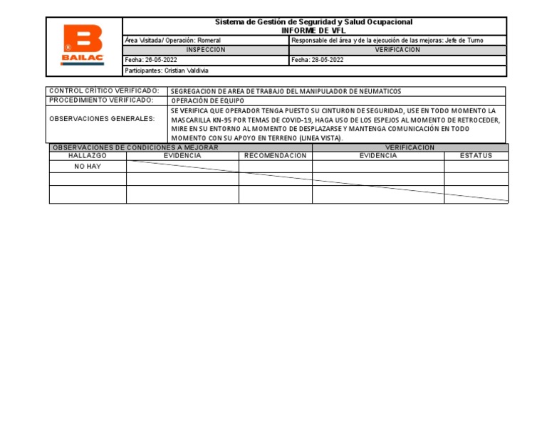 Formato de VFL | PDF
