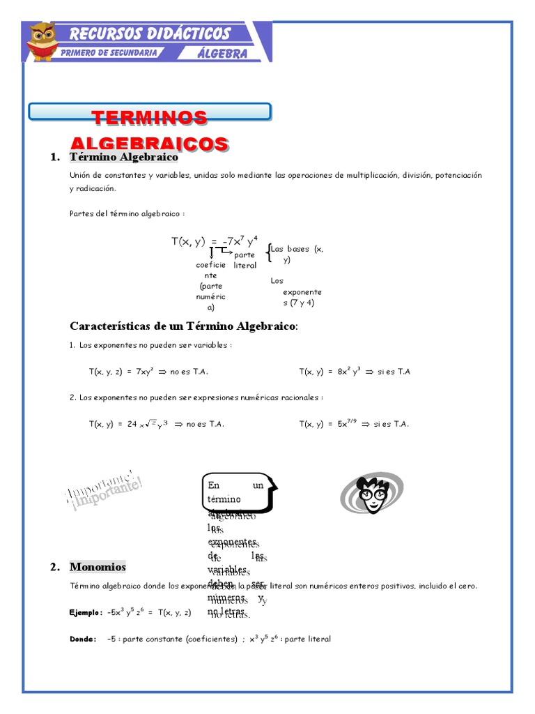 Términos Algebraicos: Monomios y Polinomios | PDF | Álgebra | Algoritmos