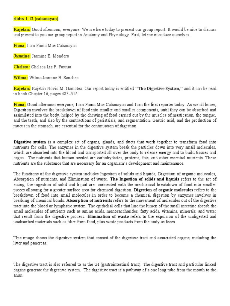 Script Digestive System | PDF