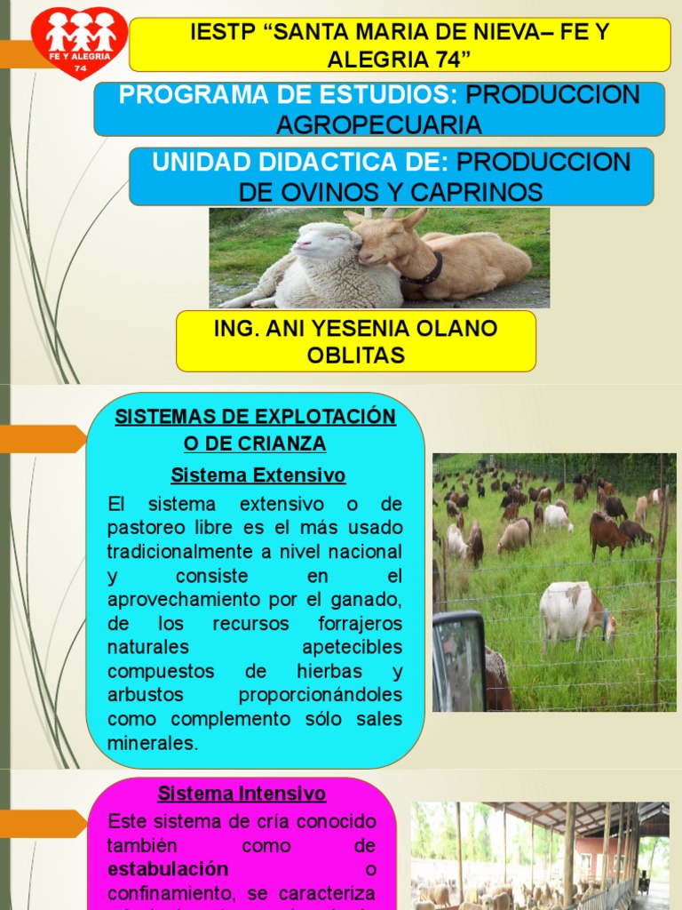 Clase 2 de Ovinos y Caprinos | PDF