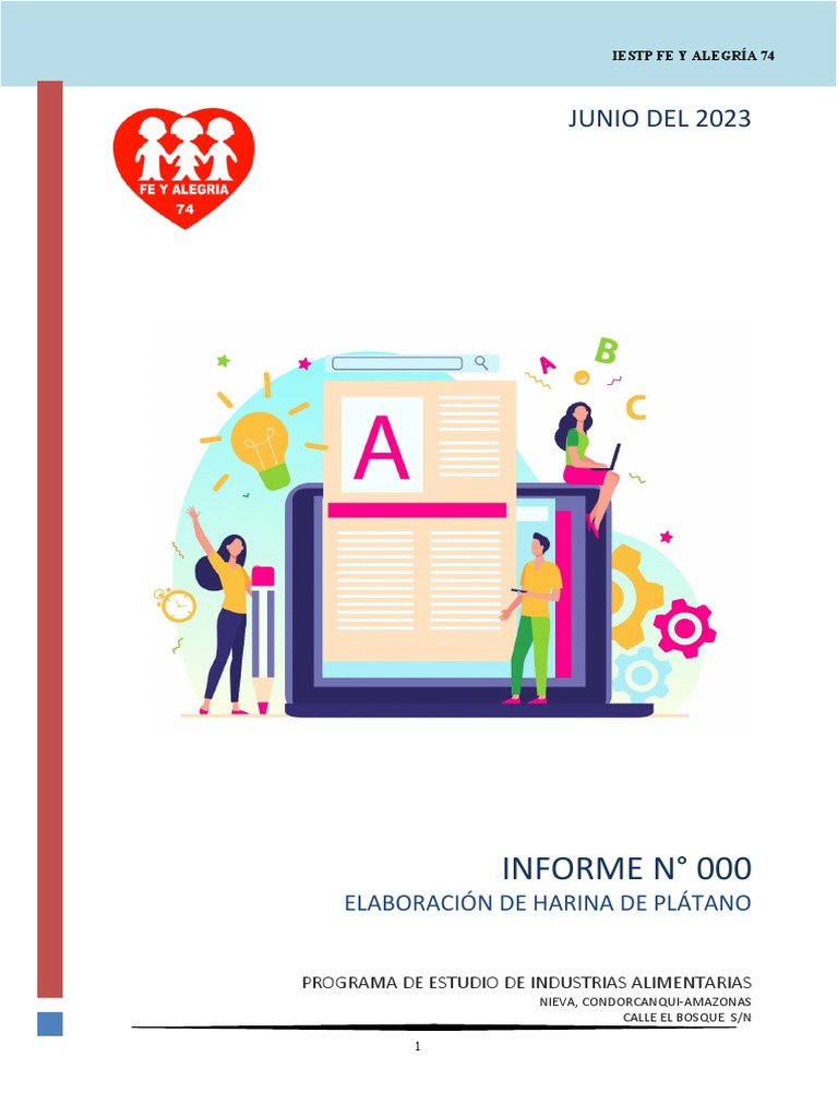 Formato de Informe Proyecto Educativo | PDF