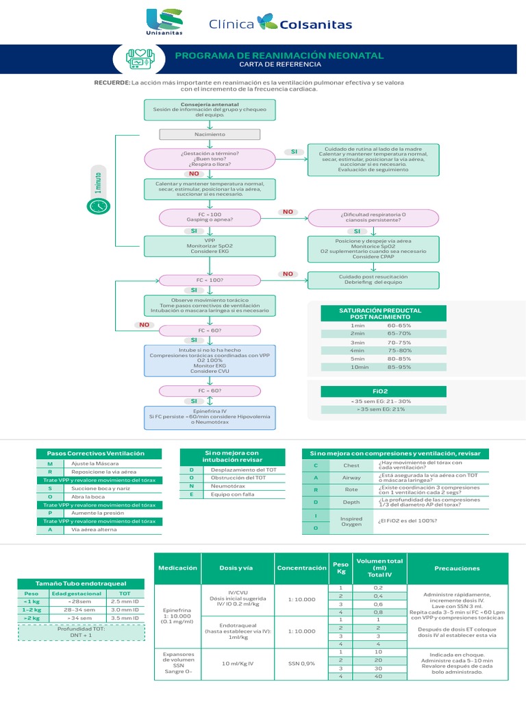 Flujograma Nals 2023 | PDF | Reanimación cardiopulmonar | Medicina