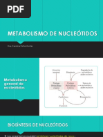 Función y Efectos de la Motilina | PDF | Diarrea | Intestino delgado