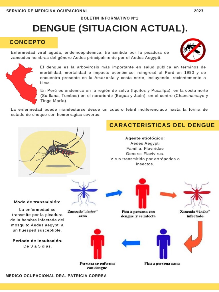 Boletin Informativo N°1 Dengue (Situación Actual Perú) . | PDF
