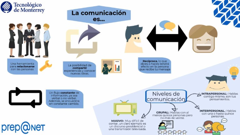 Infografia Niveles de La Comunicacion | PDF