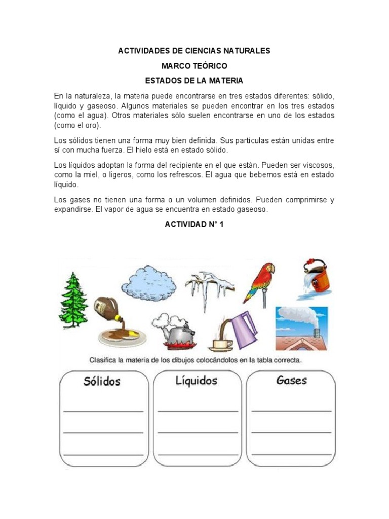Actividades de Ciencias Naturales 4 Proyecto | PDF