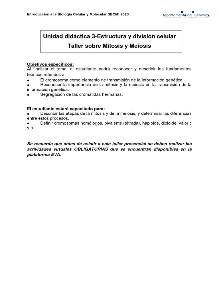 Taller Sobre Mitosis y Meiosis | PDF | Mitosis | Mitosis