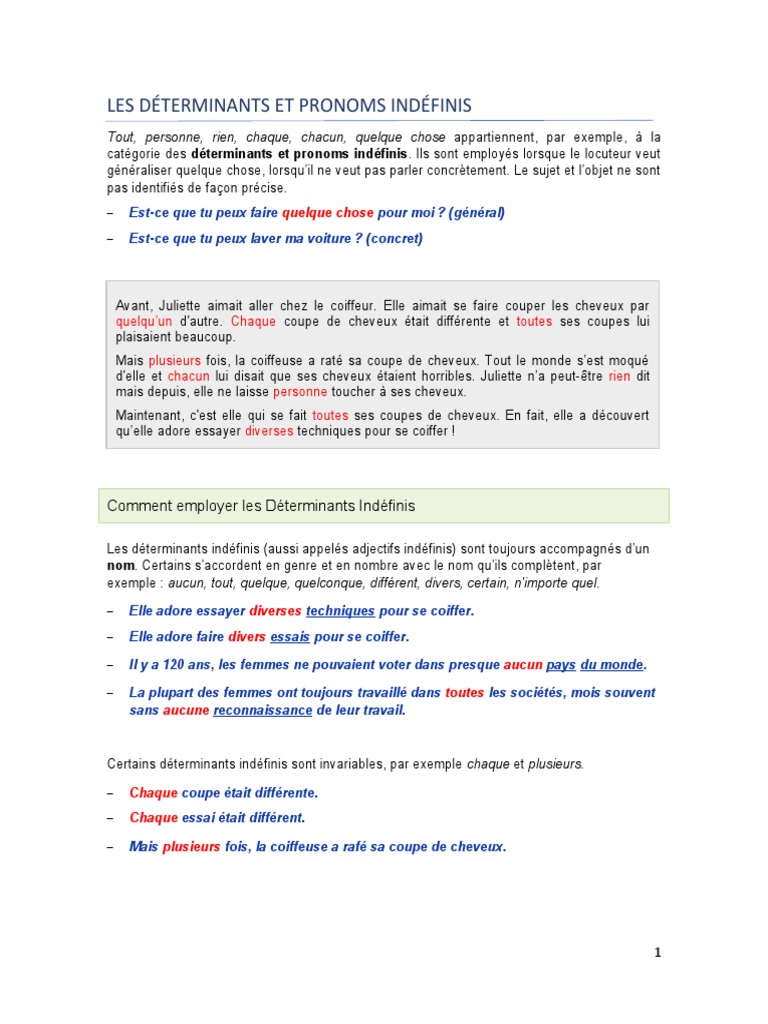Les Détérminants et Pronoms Indéfinis | PDF