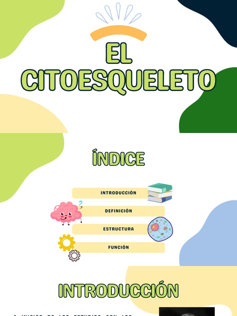 El Citoesqueleto | PDF | Microtúbulos | Citoesqueleto