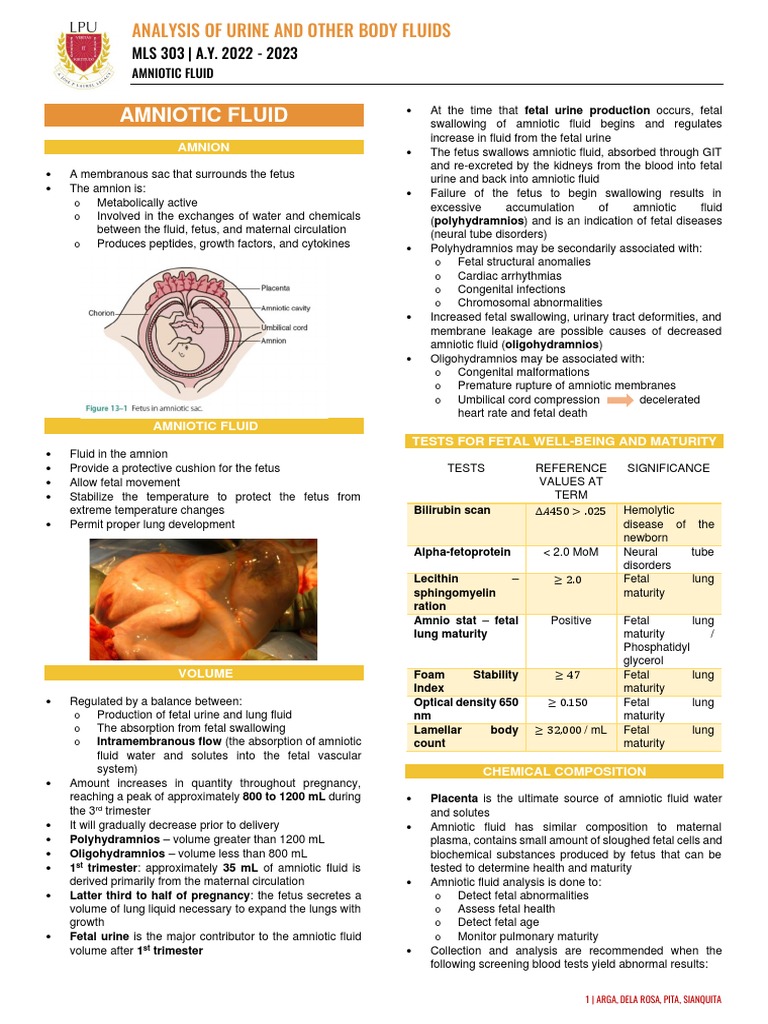 A8 - AMNIOTIC FLUID | PDF | Fetus | Anatomy