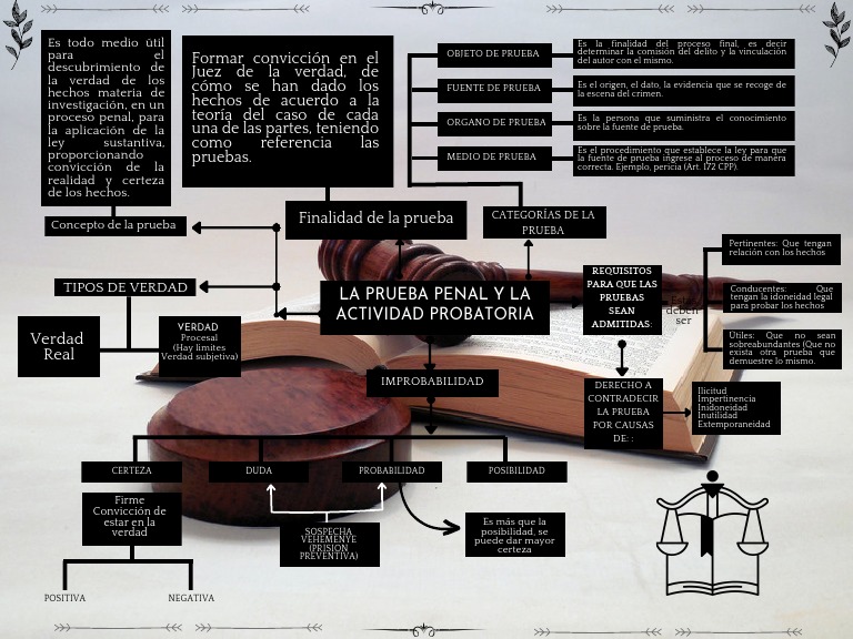 Esquema Semana 5 - La Prueba Penal y La Actividad Probatoria | PDF | Evidencia (ley) | Derecho penal