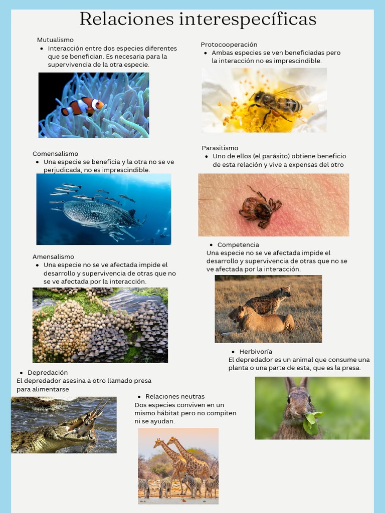 Relaciones Interespecíficas y Tipos | PDF
