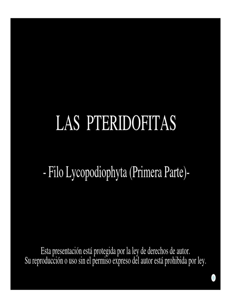 Características del Filo Lycopodiophyta | PDF | Plantas | Botánica