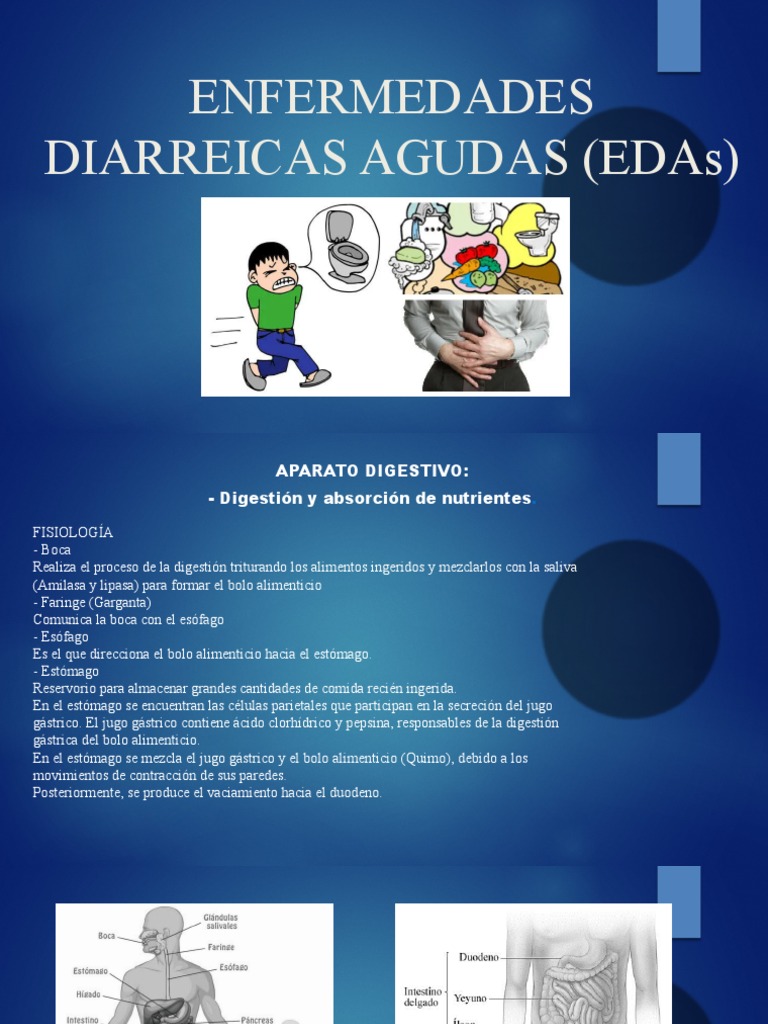 ENFERMEDADES DIARREICAS AGUDAS (EDAs) | PDF | Diarrea | Digestión