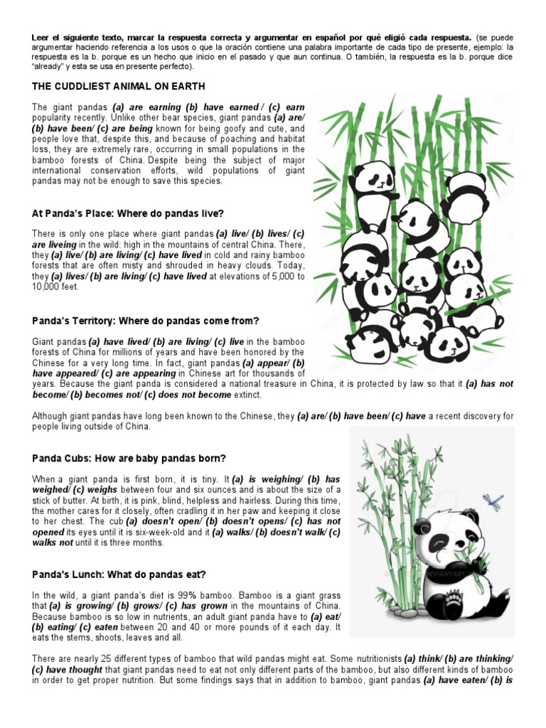 Present Tenses Pandas 11 | PDF