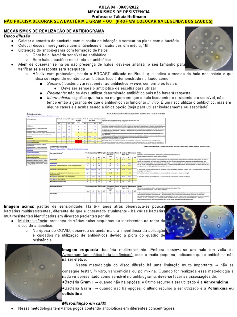 Morfo Lab SP4 | PDF | Resistência antimicrobiana | Staphylococcus aureus resistente à meticilina