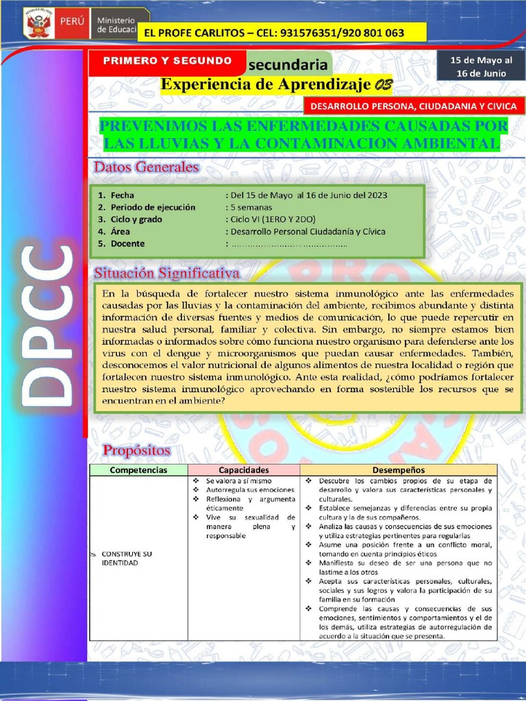 Sesion 1 DPCC | PDF