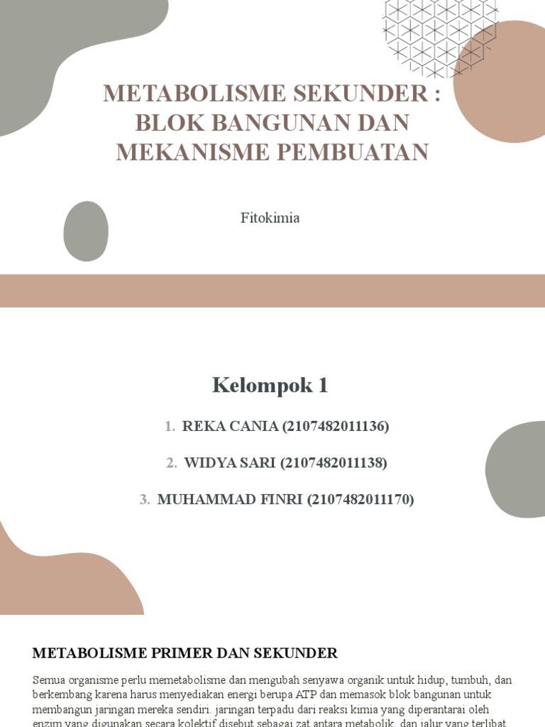 Metabolit Sekunder Kel 1 | PDF