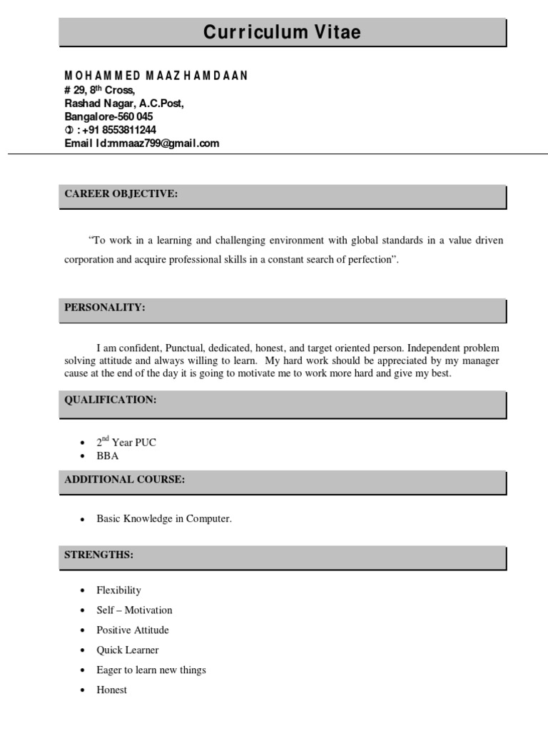 Maaz CV | PDF