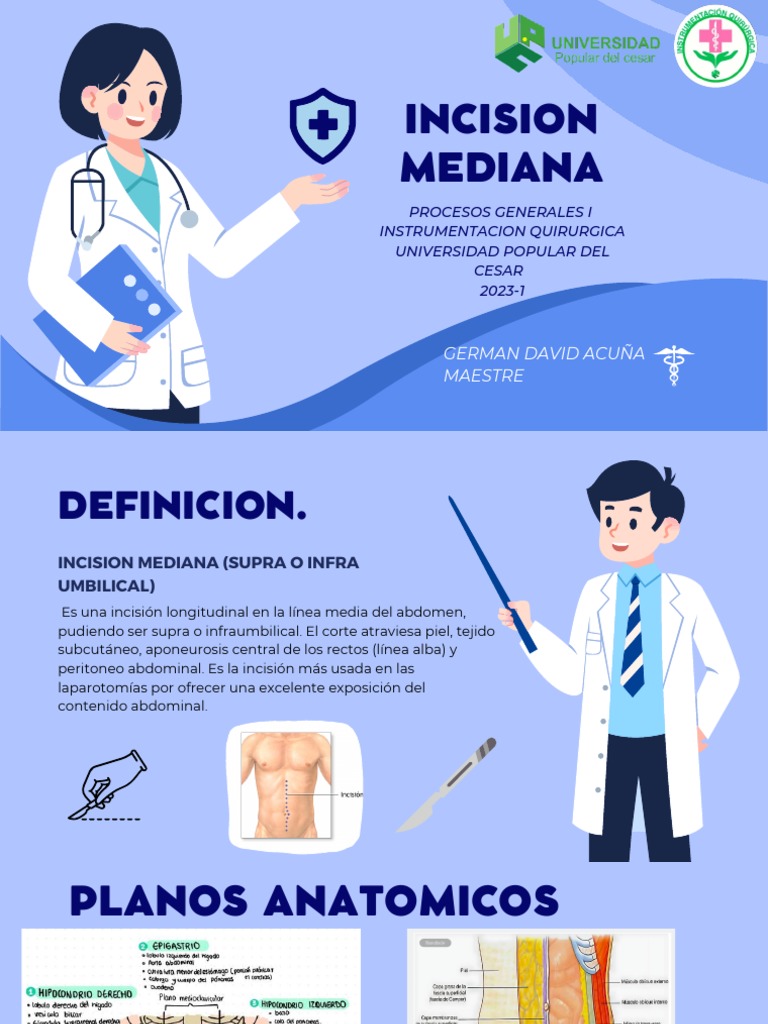 Incision Mediana | PDF | Abdomen | Cirugía