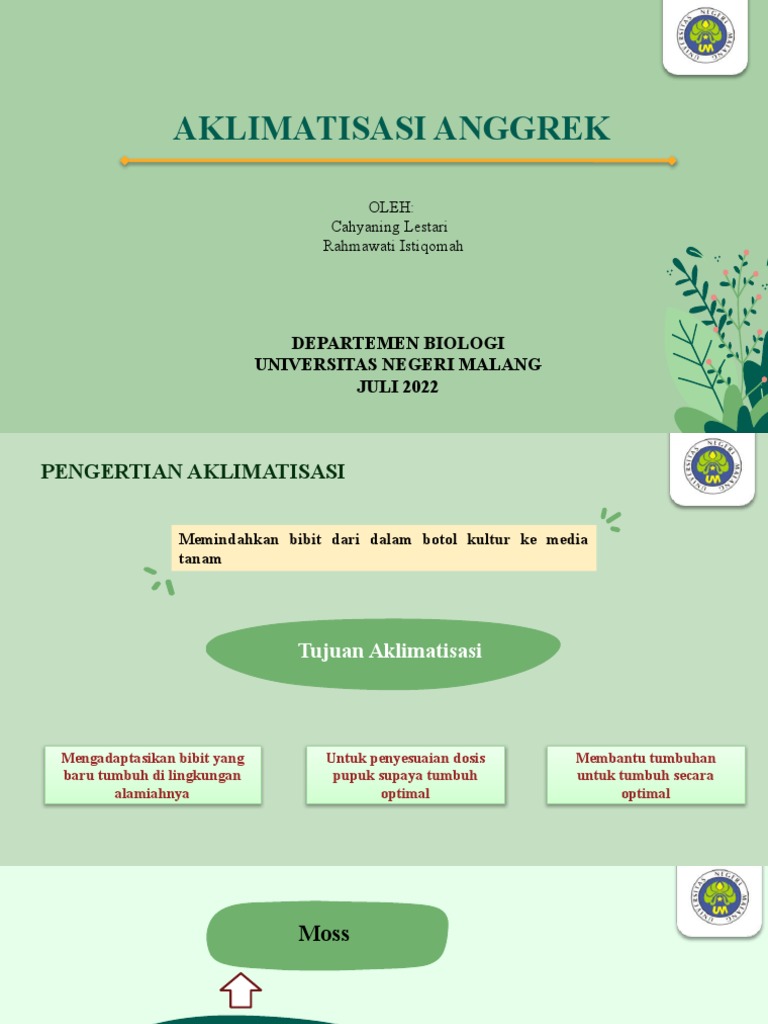Aklimatisasi Anggrek | PDF