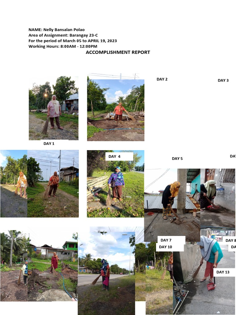 Barangay 23-C Accomplishment Report | PDF