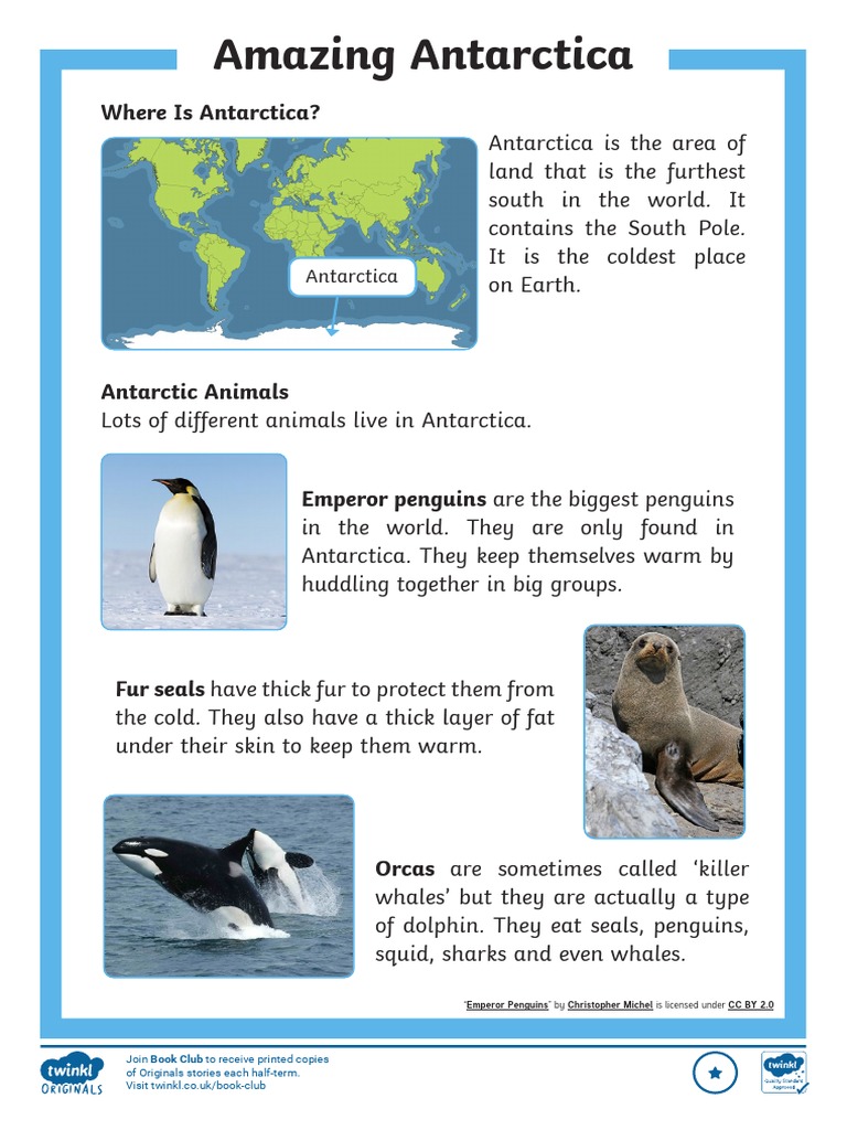 Antarctic Animals and Their Adaptations | PDF | Antarctica | Penguin