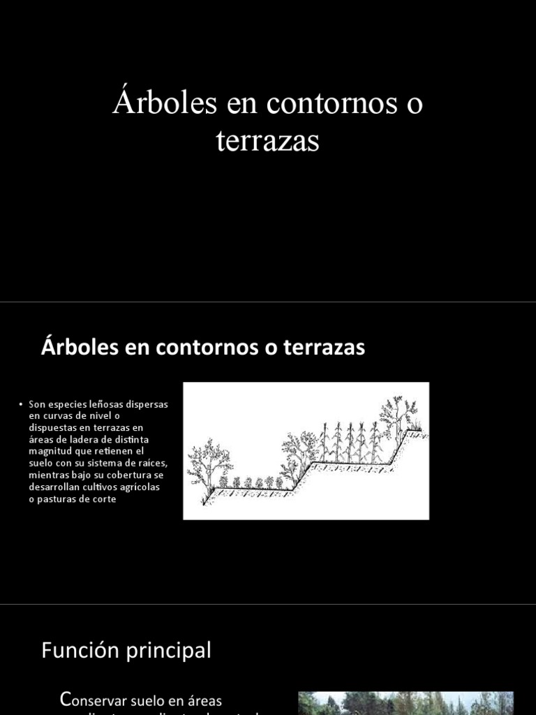 Árboles en Contornos o Terrazas | PDF | Suelo | Arboles