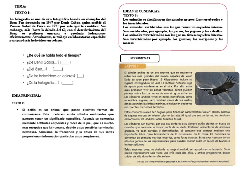 Anexo de Temas, Subtemas, Ideas Principales | PDF