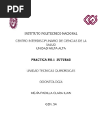 Guía de Sutura Colchonero Horizontal | PDF | Cirugía | Especialidades ...
