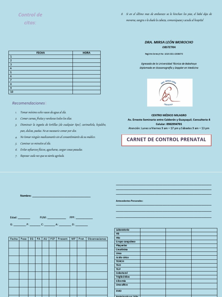 Carnet Prenatal | PDF | Especialidades Medicas | Medicina CLINICA