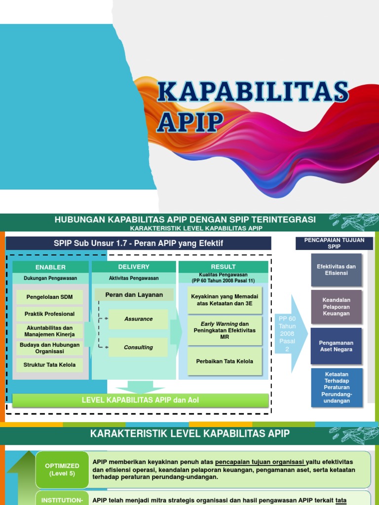 Kapabilitas APIP 01E2 | PDF