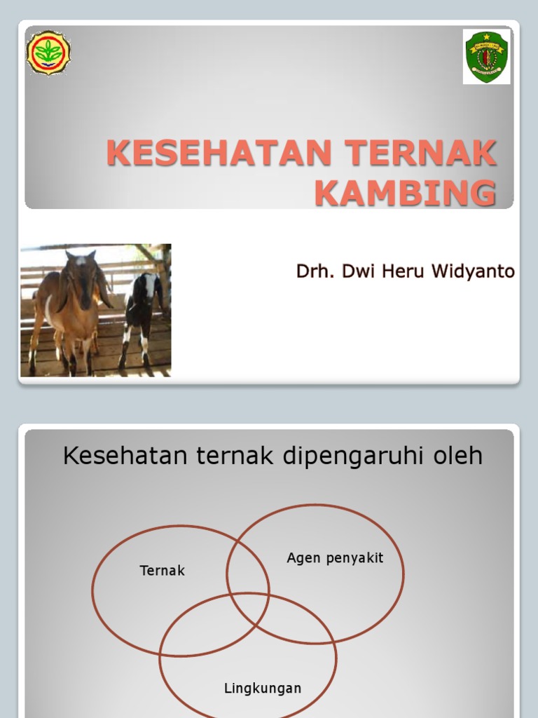 Kesehatan Ternak Kambing | PDF