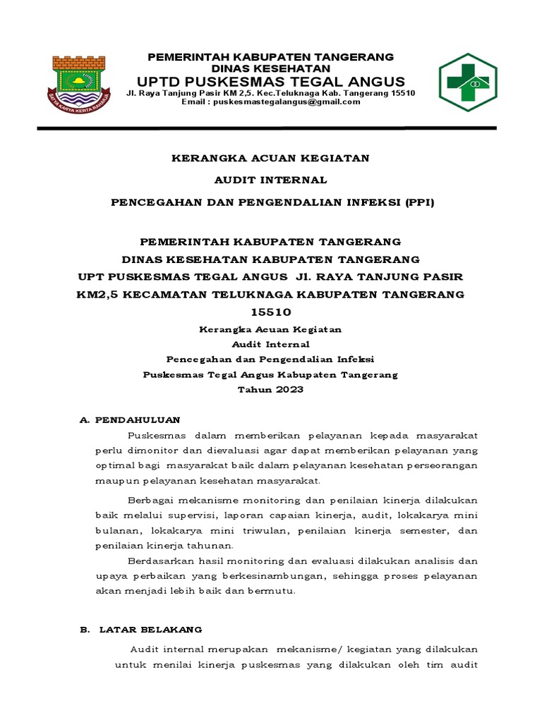 KAK Audit Internal PPI | PDF
