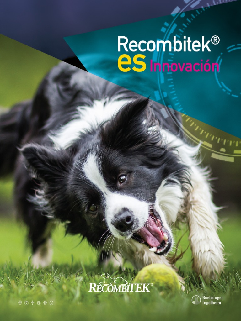 Brochure Recombitek 2020 | PDF