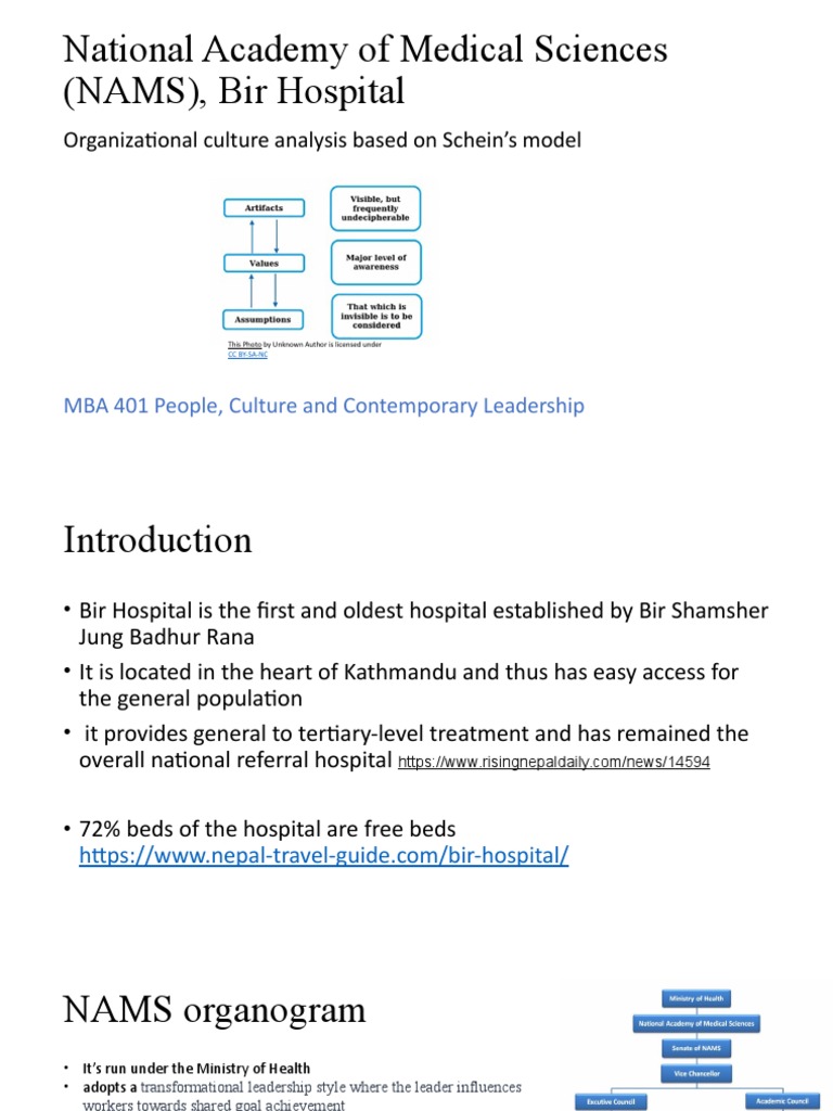 401 Assignment | PDF | Hospital | Leadership